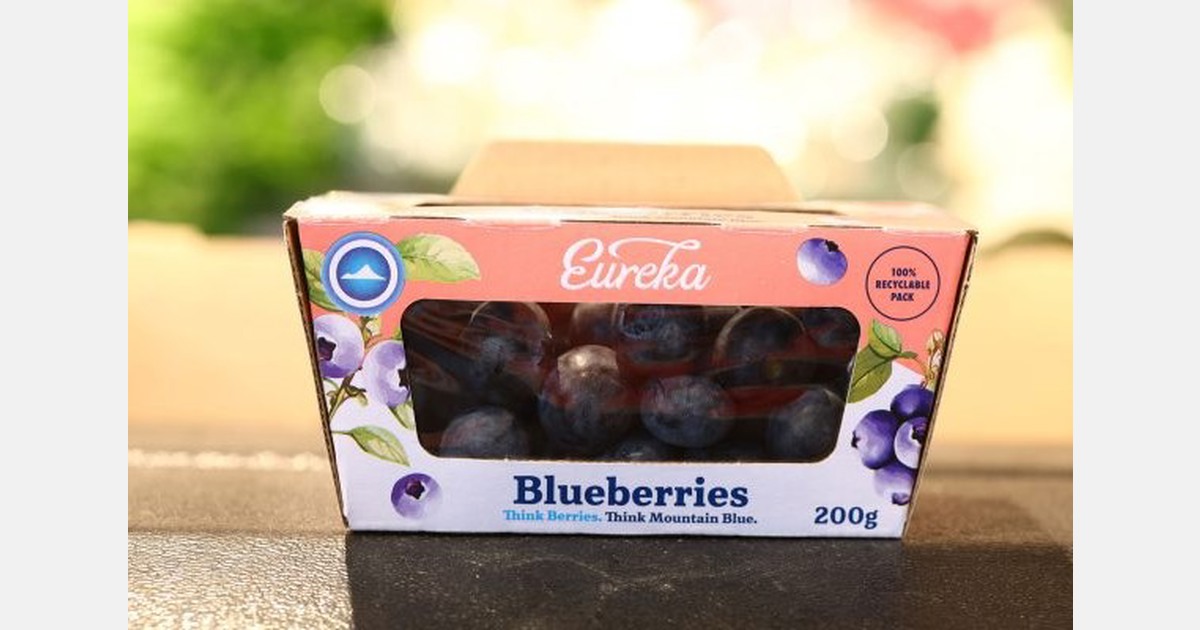 Mountain Blue launches plastic-free blueberry packaging trial