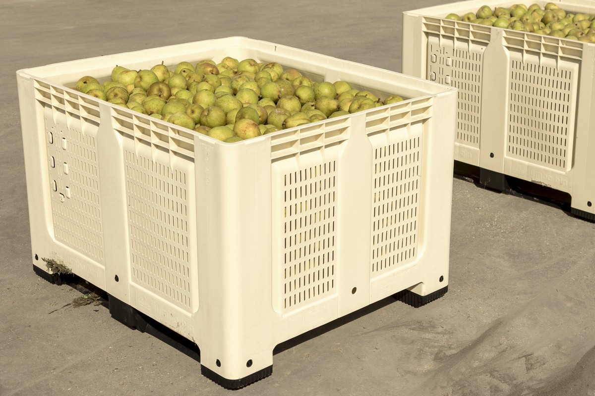 New Euro Jumbo bin to support the export of fresh produce from South ...