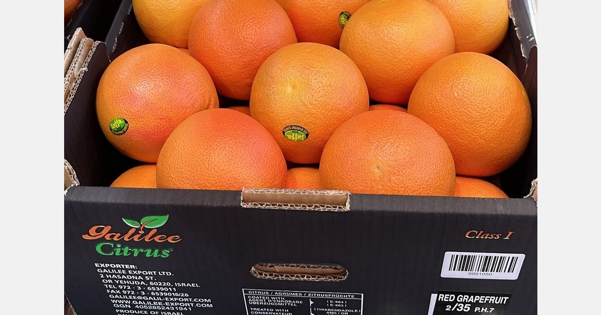 “It is a challenge to ship citrus fruit from Israel around Africa to ...