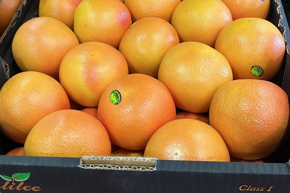 “It is a challenge to ship citrus fruit from Israel around Africa to ...