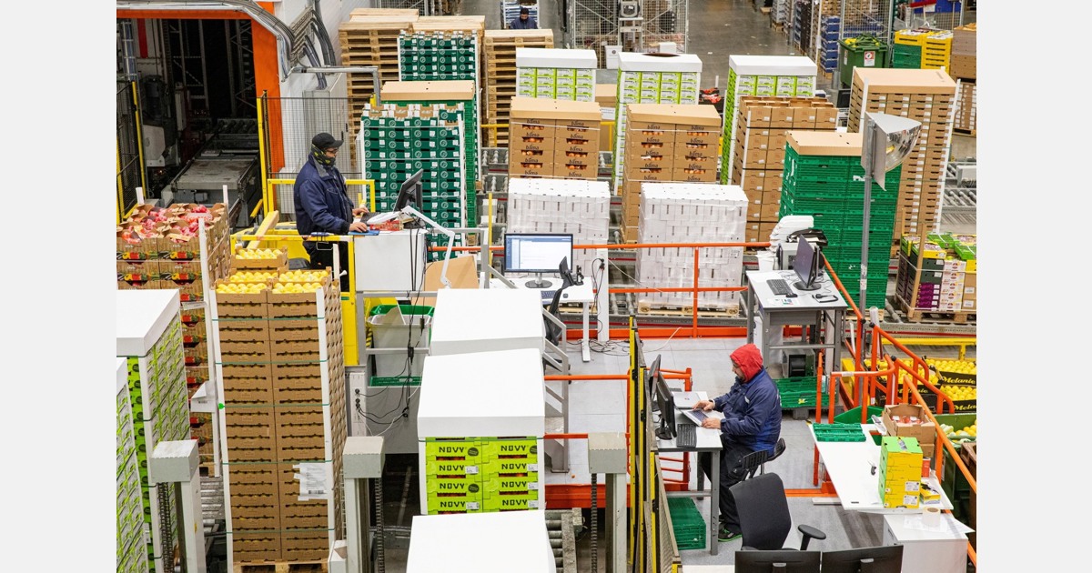 Bama wants to significantly increase the share of Norwegian fruit and ...