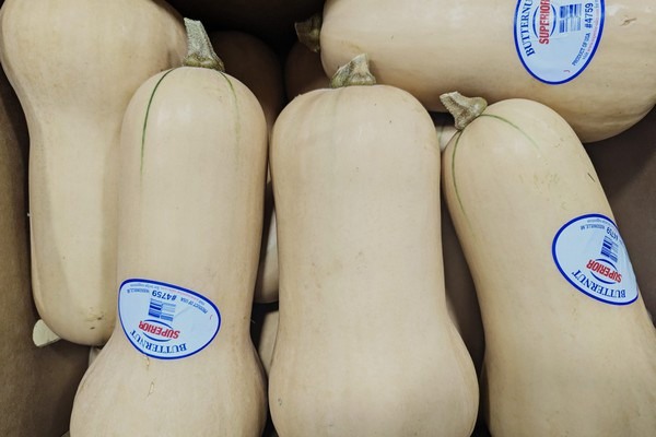 stadium outlet squash