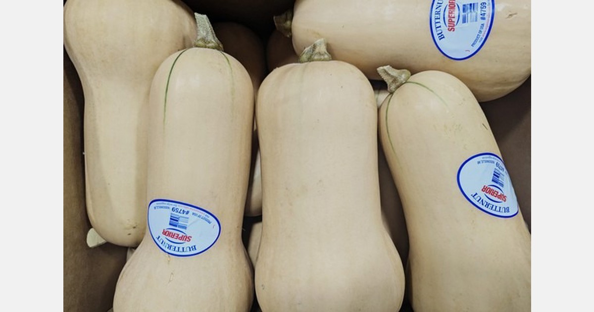 Demand increasing on Michigan squash
