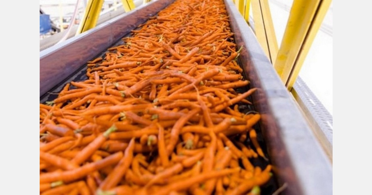 California carrot demand pressured post-southeast hurricanes