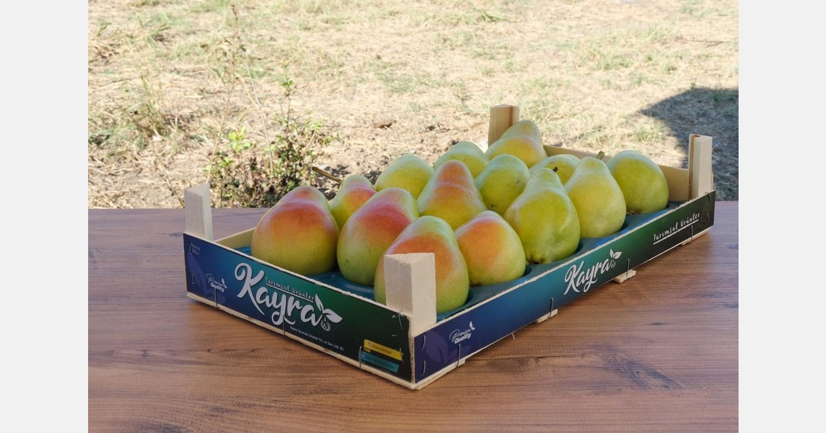 "Turkish Santa Maria pear season is off to a good start"