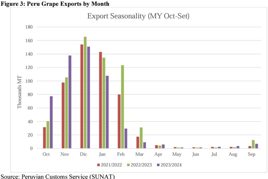Peru's grape production set to increase in 2024/2025 due to better weather