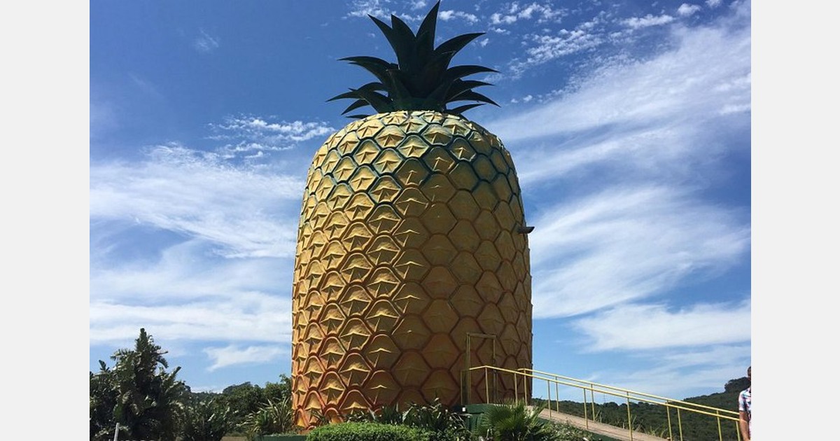The big pineapple: South Africa's giant