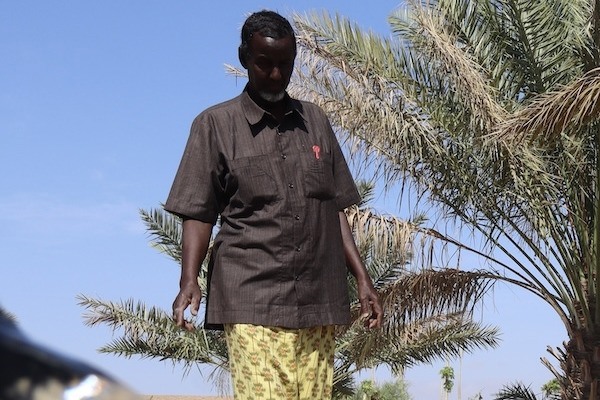 Date palms offer resilient solution to Somalia’s food insecurity challenges