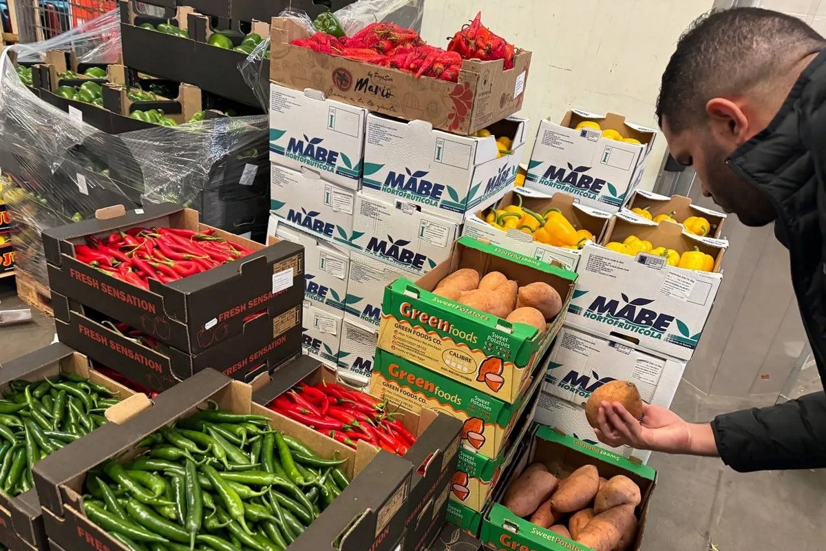 Moroccan and Egyptian exporters explore opportunities at Poland's ...