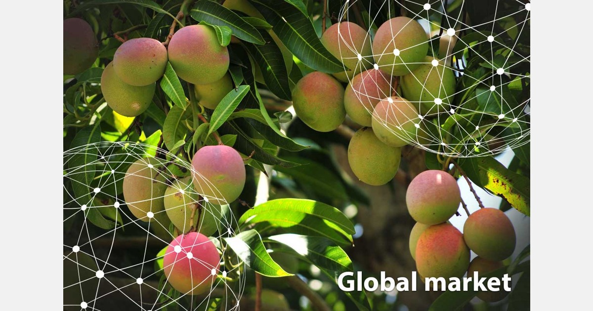 GLOBAL MARKET OVERVIEW MANGOES