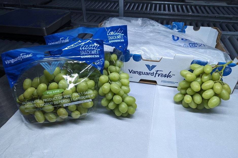Undersupplied table grape markets globally until Chile ramps up