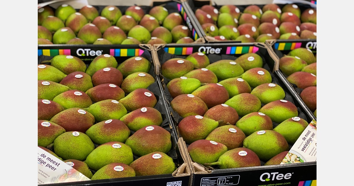 “Smooth QTee pear sales again, despite this summer’s crowded market”