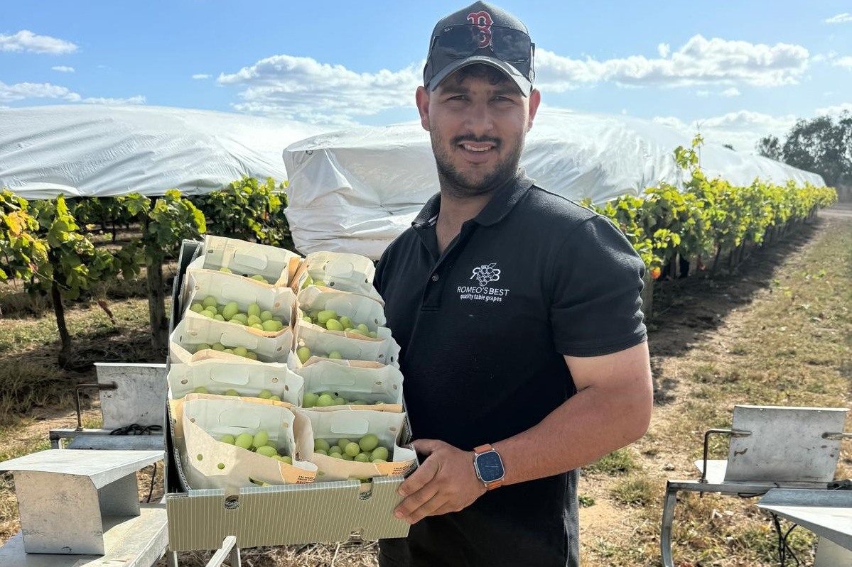 “We had a great season this year on the ARRA Sweeties with consistent ...