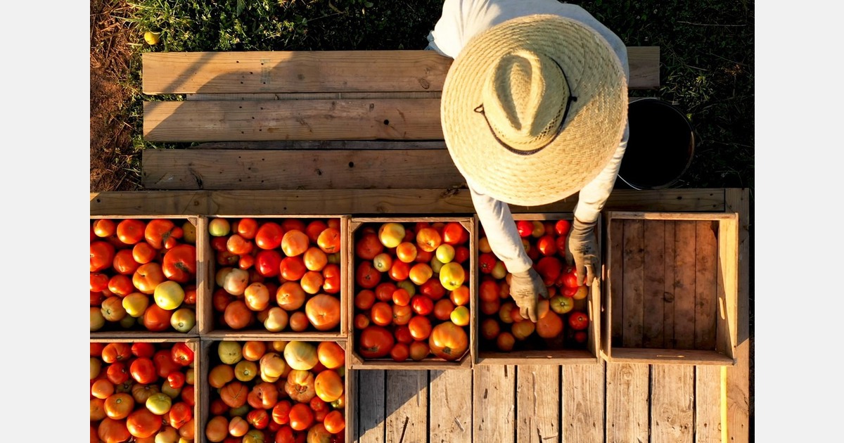 IFPA, USApple applaud court decision to grant stay on labor rule