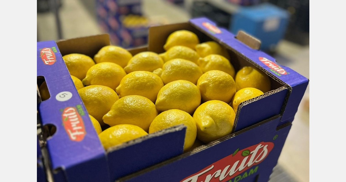 "The worst is behind us for Turkish lemons"