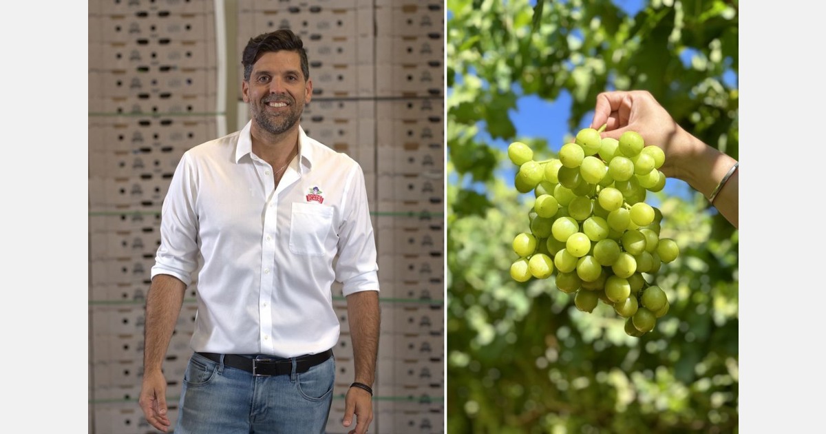 “Autumncrisp is the most impactful grape ever”