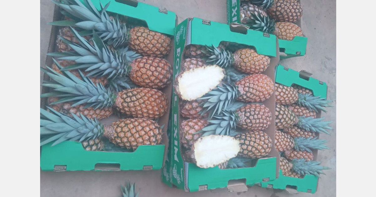 Benin pineapple exporters hope to launch exports to China
