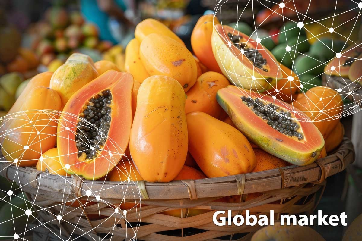 GLOBAL MARKET OVERVIEW PAPAYAS