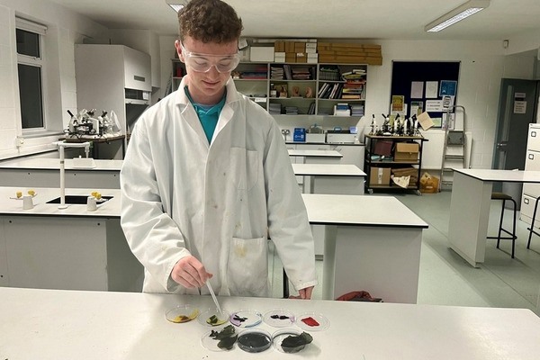 Student develops pH-responsive biodegradable packaging to signal food ...