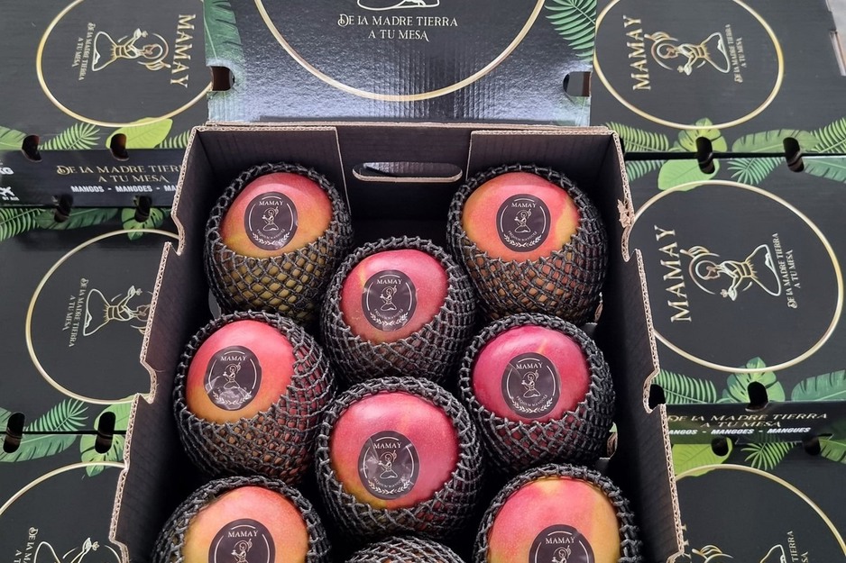 “The start of Peru’s mango season is complicated with direct ...