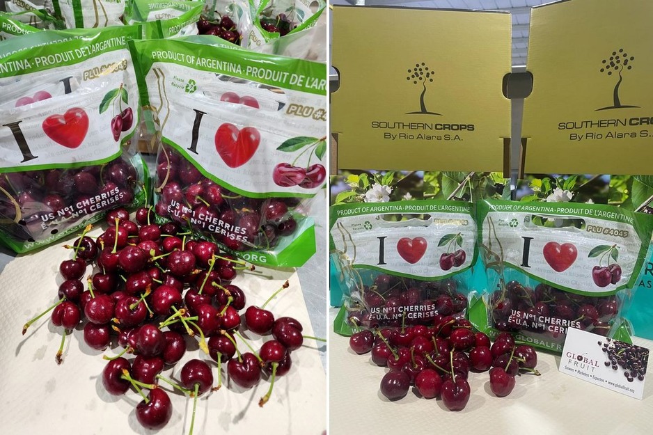 Chilean cherry crop more manageable after downward adjustment