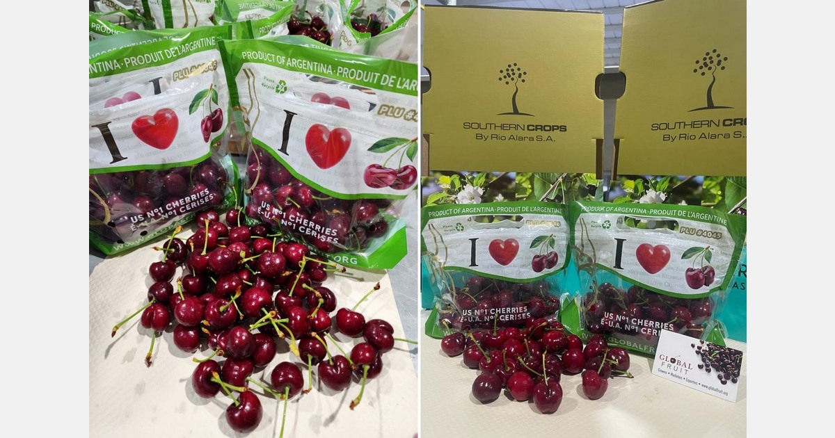 Chilean cherry crop more manageable after downward adjustment