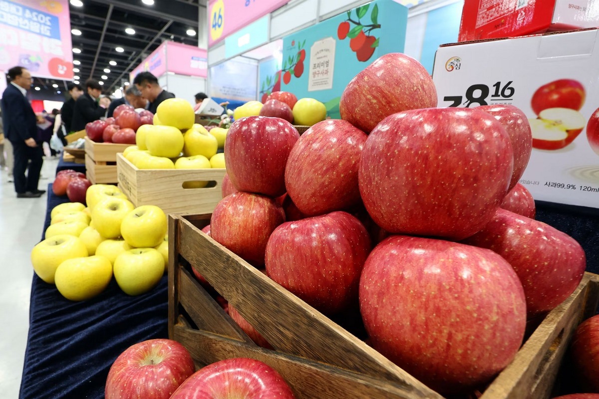 South Korea plans expansion of apple cultivation in Gangwon to combat ...