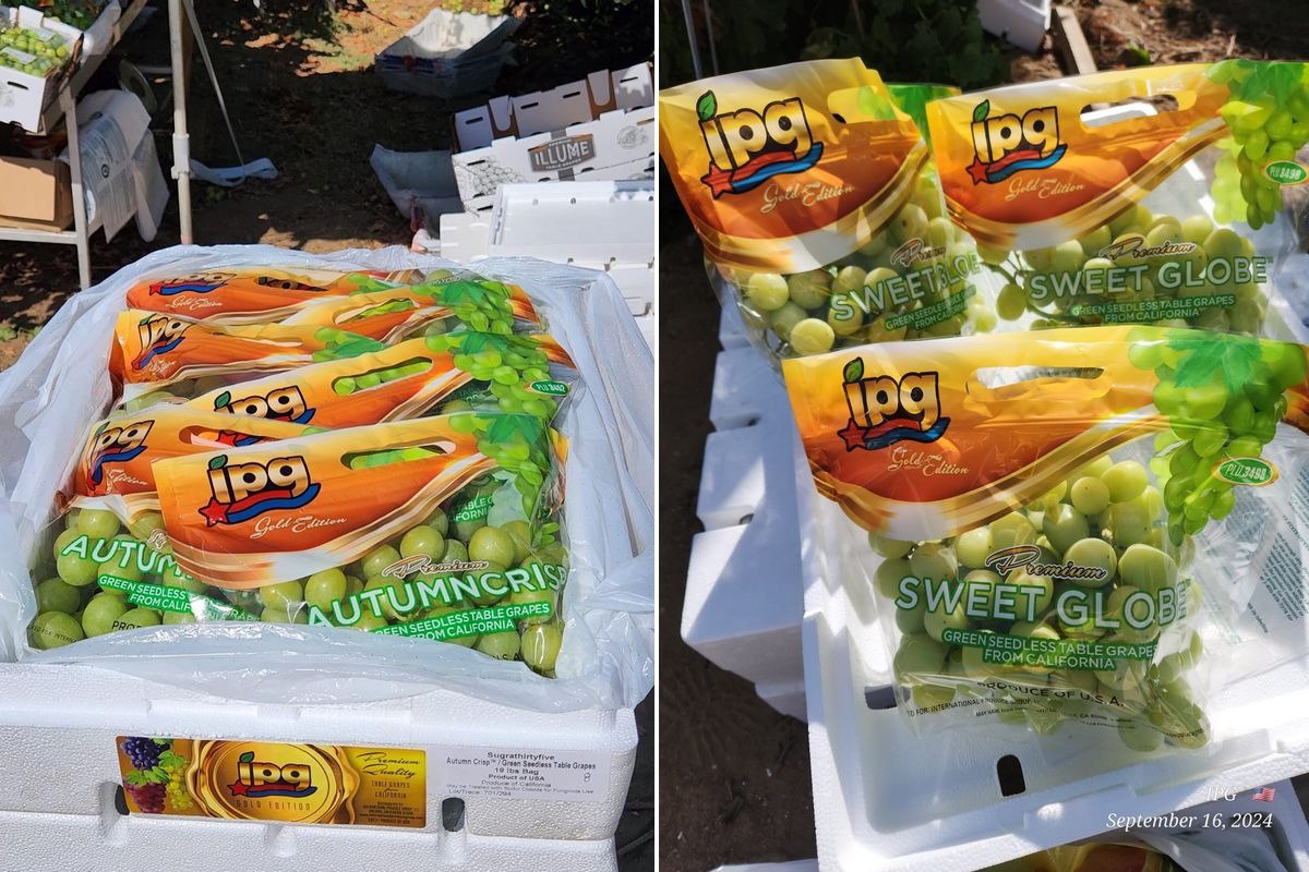 South American grapes respond to changing demand