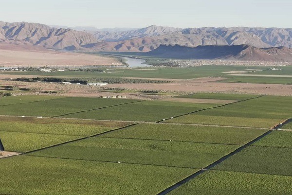 Winding down, Namibian grape growers look back on excellent quality season