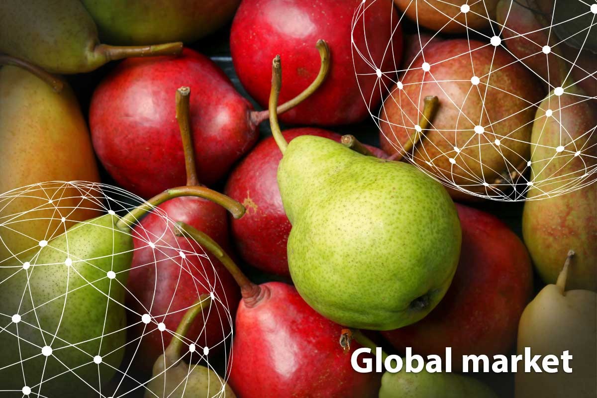 GLOBAL MARKET OVERVIEW PEARS