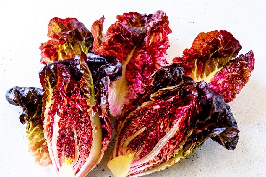 Expanded plantings of Pink Rhône lettuce come to fruition