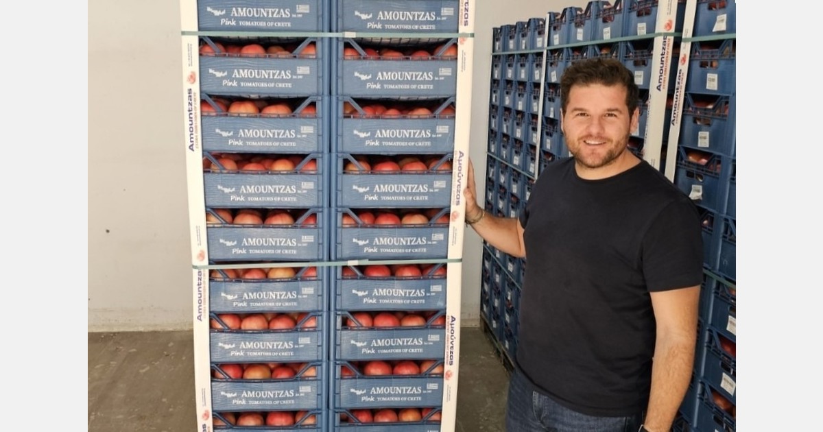 "Pink tomatoes in blue plastic packaging that looks like wood and ...