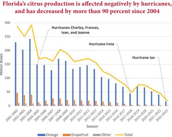 Florida's citrus industry faces steep decline from disease, hurricanes ...