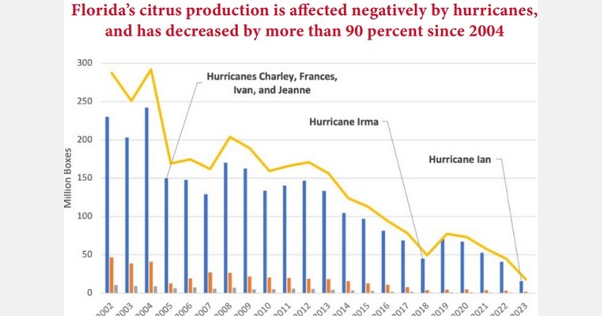 Florida's citrus industry faces steep decline from disease, hurricanes ...