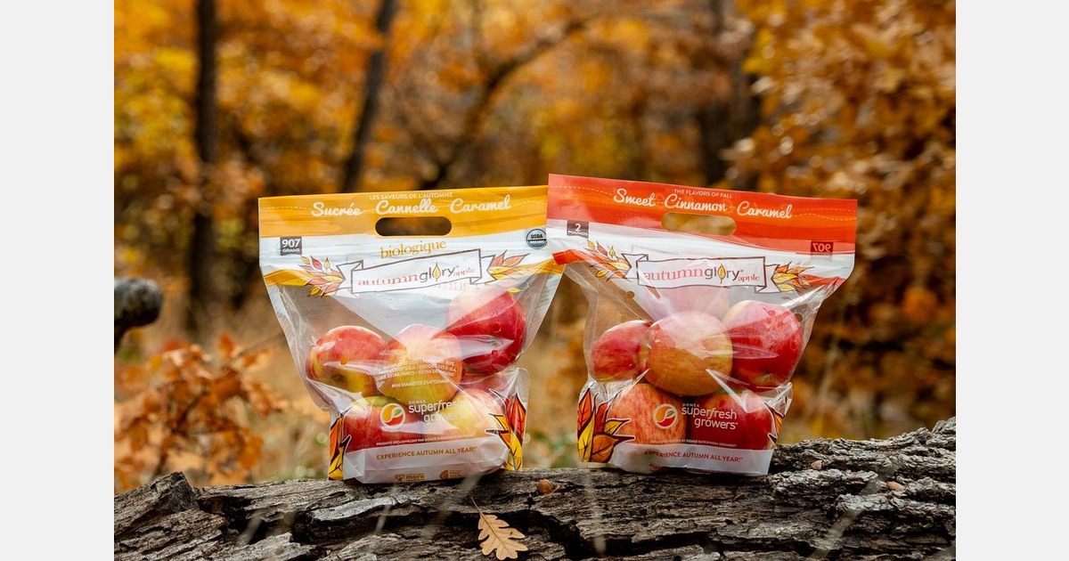Autumn Glory apples win over new fans, capturing younger consumers