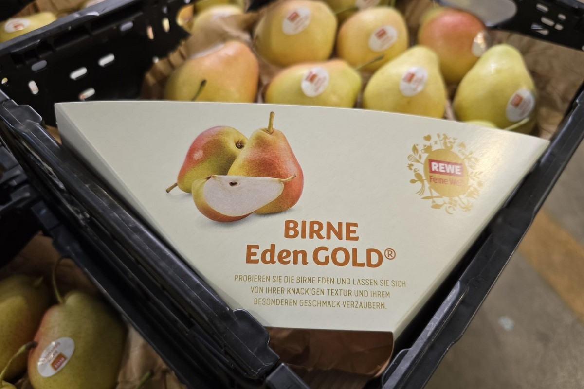 Pear growers around the world hoping to strike gold with Eden Gold variety