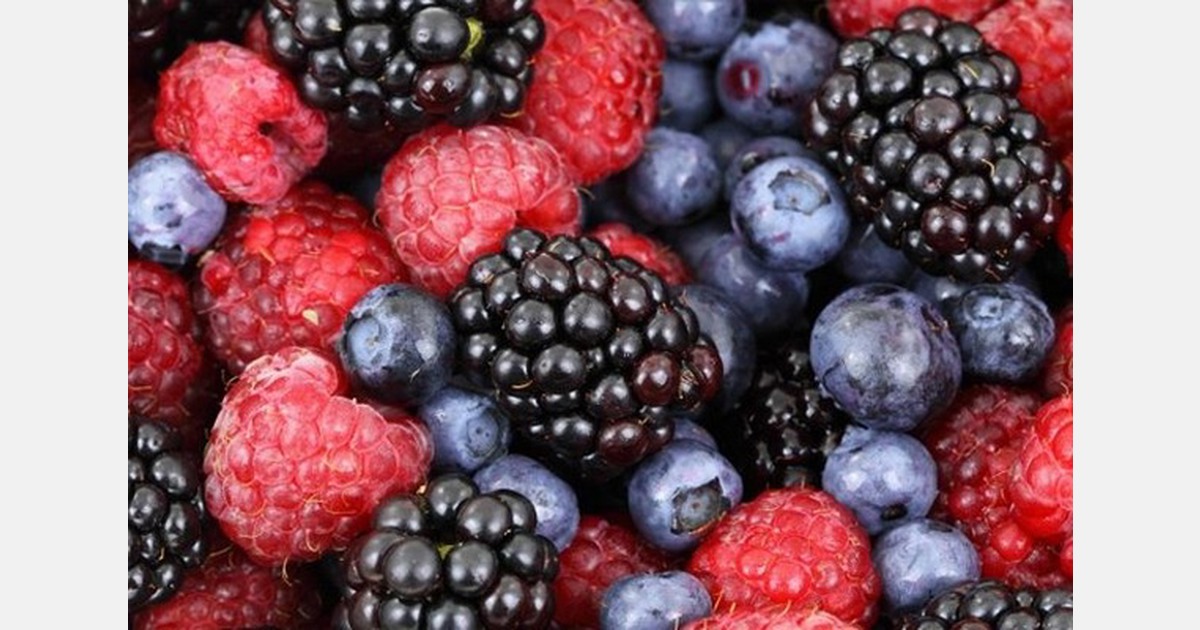 Mexican berry exports forecast to decline 2.22% in 2024 due to rising ...