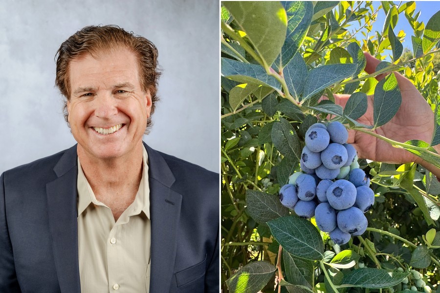 More blueberries anticipated in 2025