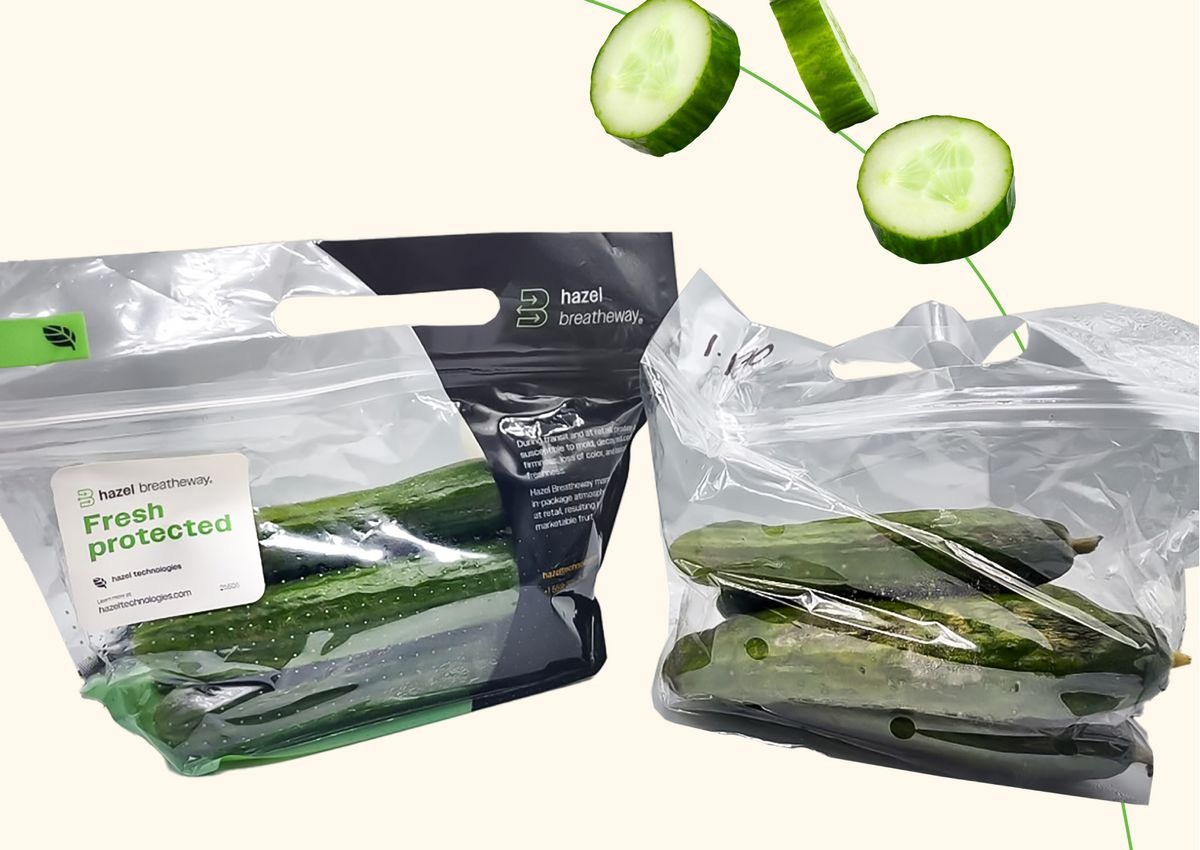 Membrane packaging extends shelf-life of cucumbers and reduces weight loss