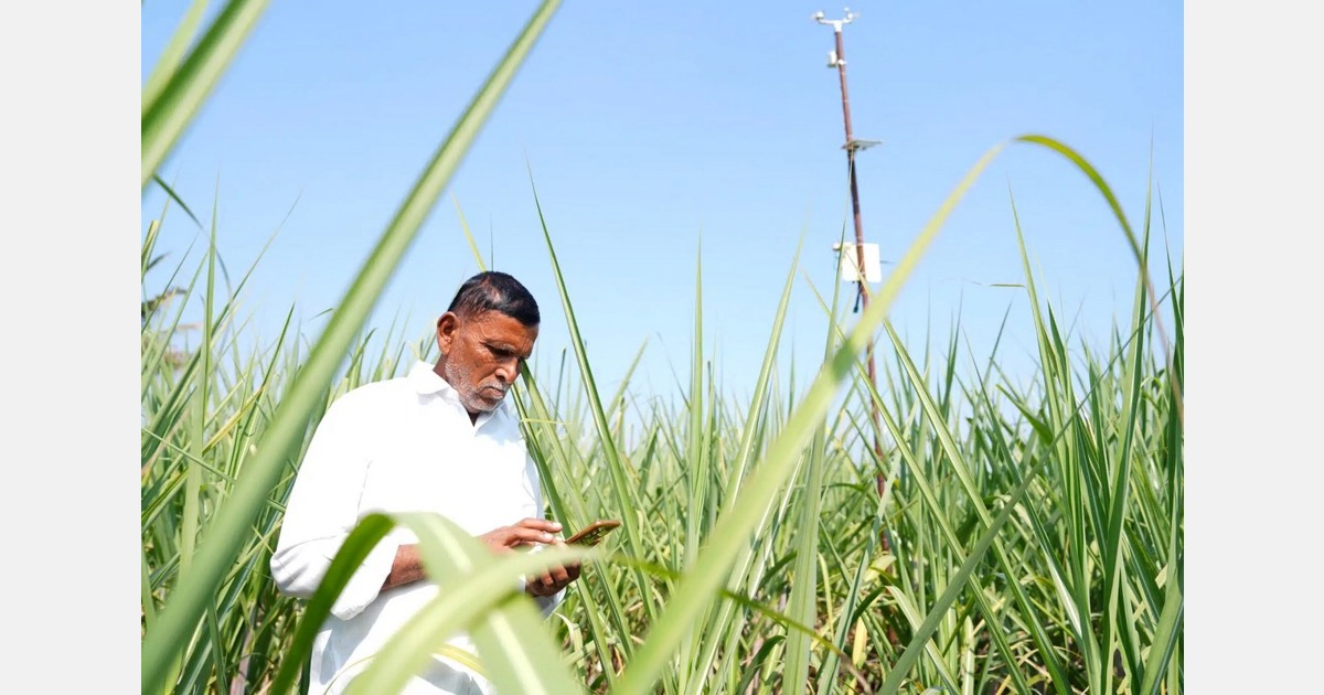 Microsoft and AgriPilot.ai collaborate to boost AI-driven farming ...