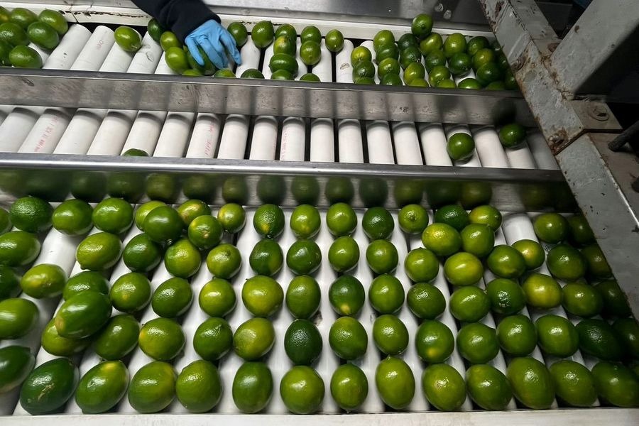Elevated lime market expected before the end of the month