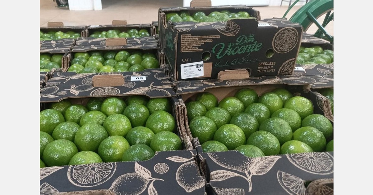 Brazil’s lime exports down due to ongoing rain and lower EU demand