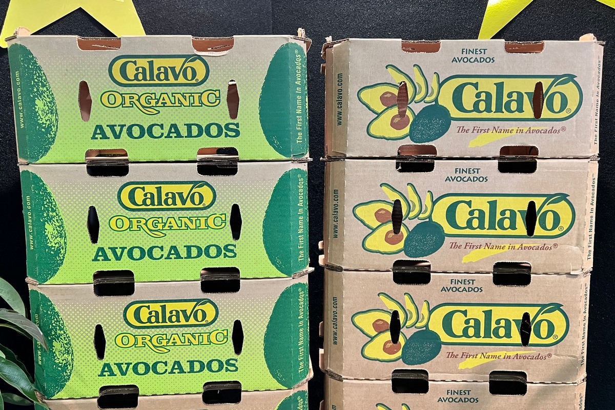 Calavo Growers reports $661.5M in 2024 sales, adjusts focus after Fresh ...