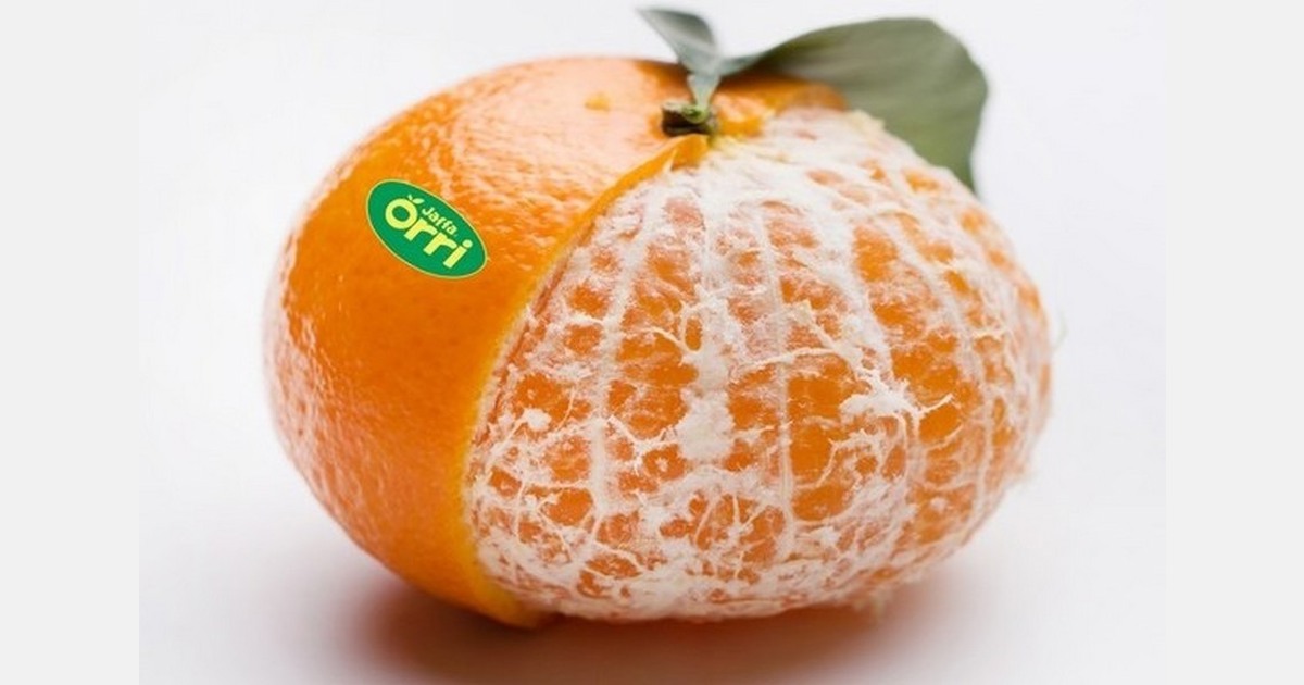 Israel's citrus growers persevere amid conflict, focus on Orri Jaffa ...