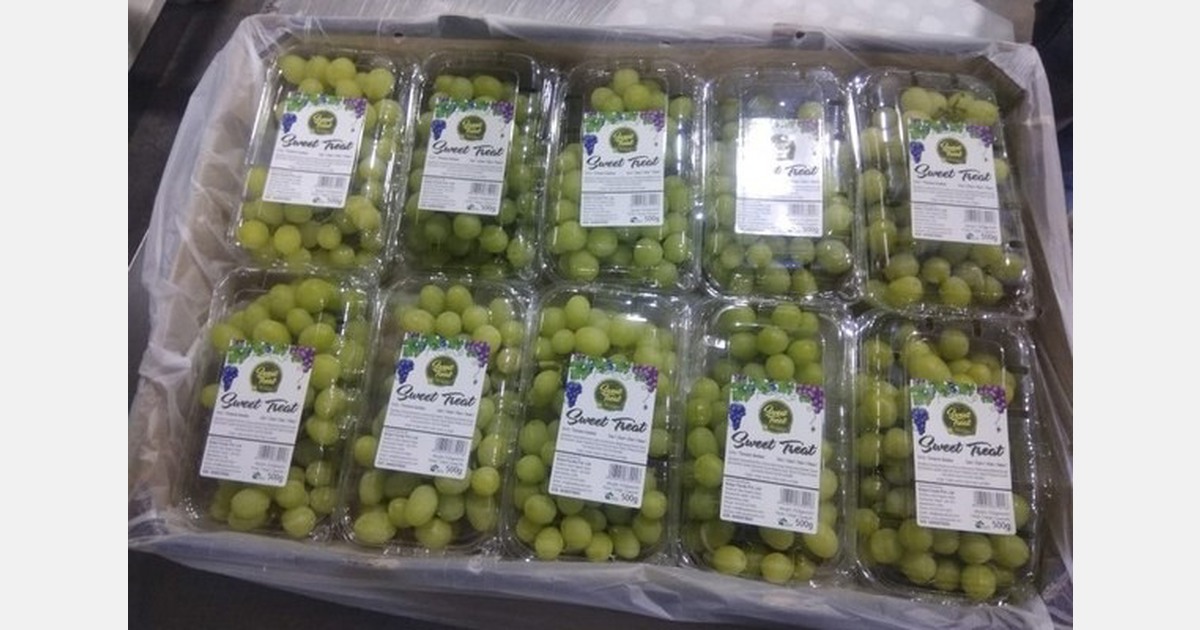 "We’ve started shipping the grapes to the Russian market"