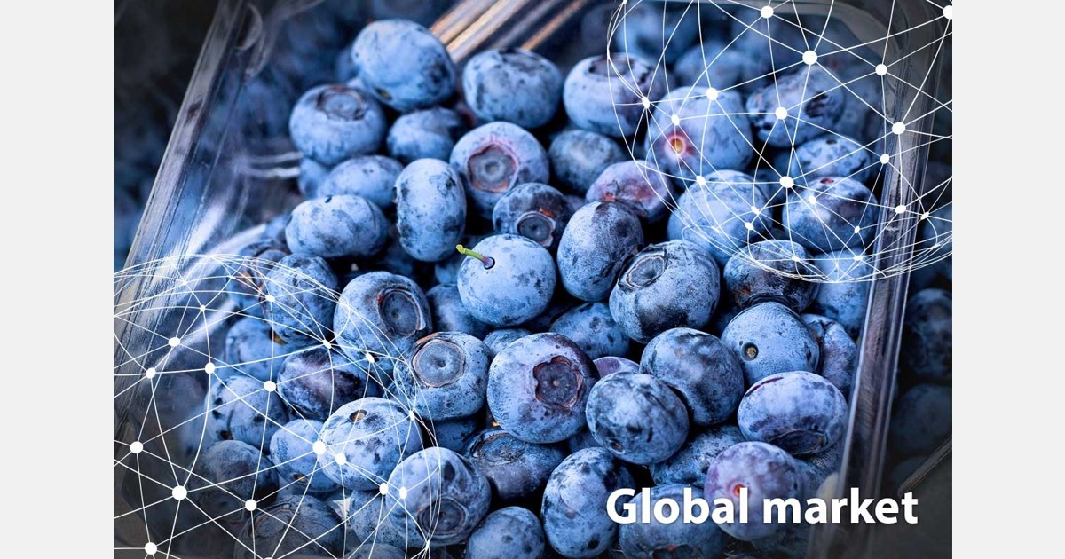 GLOBAL MARKET OVERVIEW BLUEBERRIES