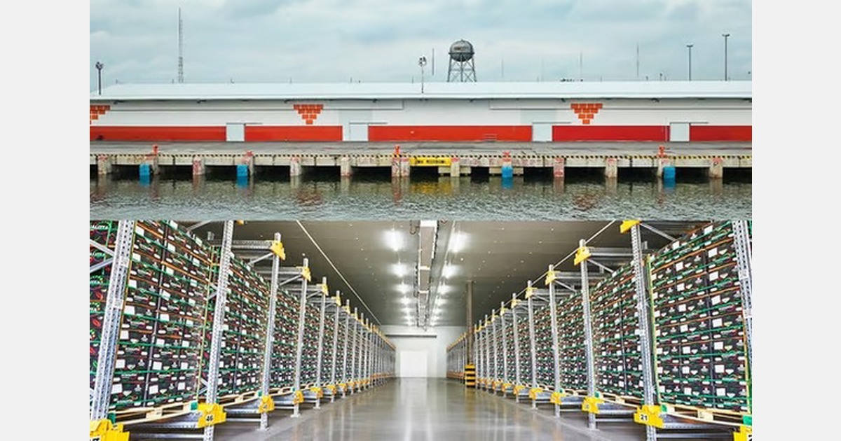 Ecuador opens first on-dock cold storage facility to boost banana exports