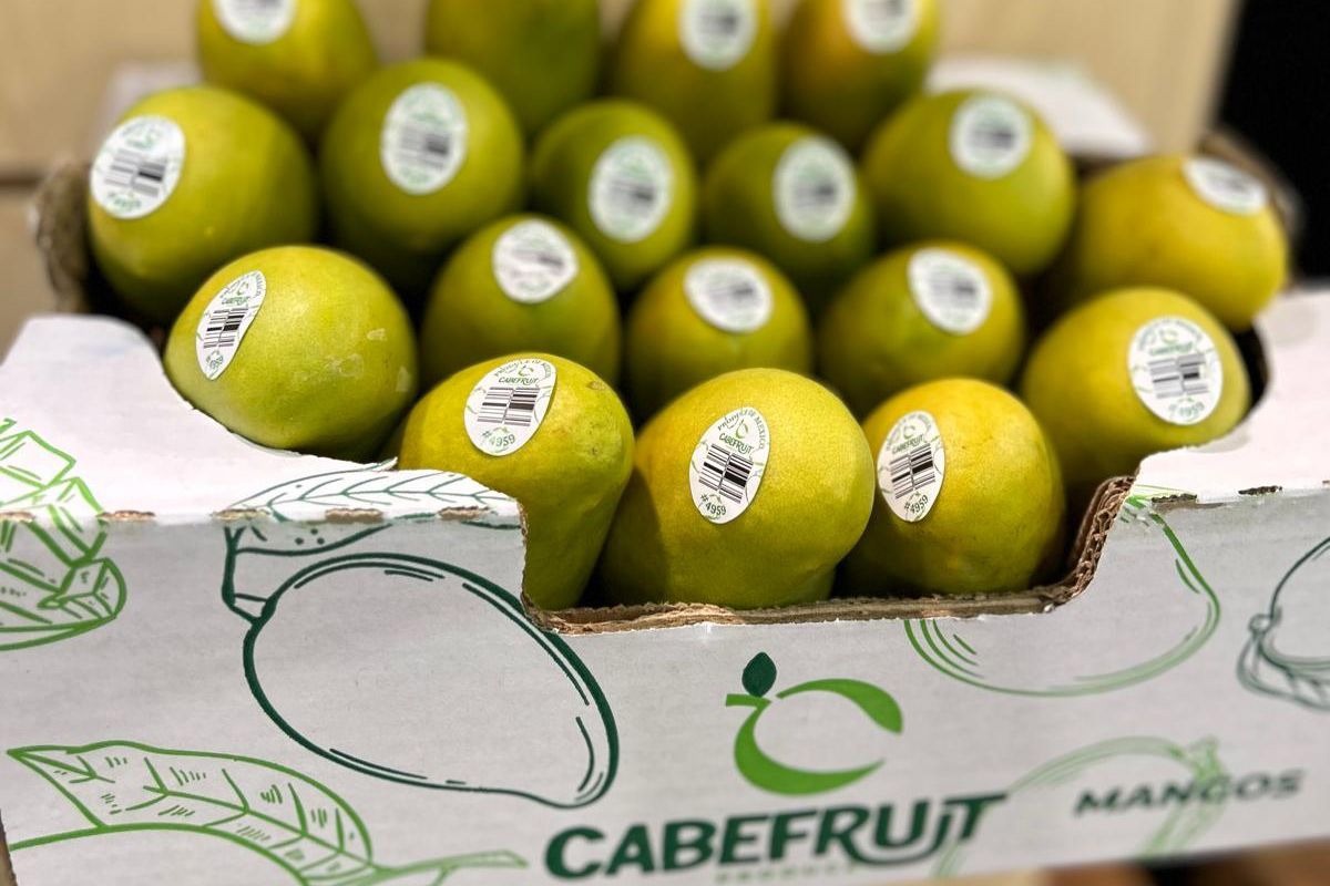 The first mangos from Mexico are available