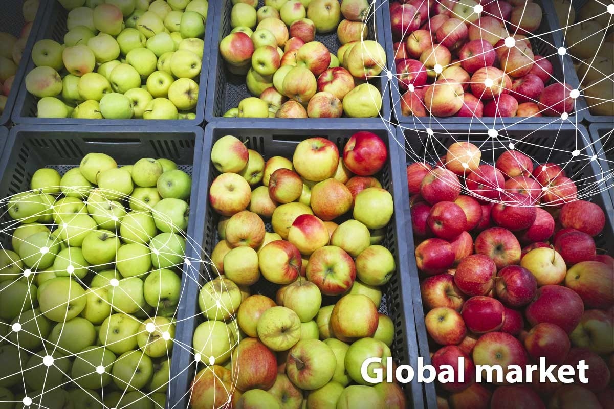 GLOBAL MARRKET OVERVIEW APPLES