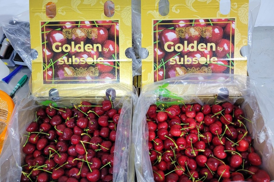 First container of cherries from Chilean Subsole arrives in India